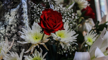 The Tove Benefice - Tove Benefice